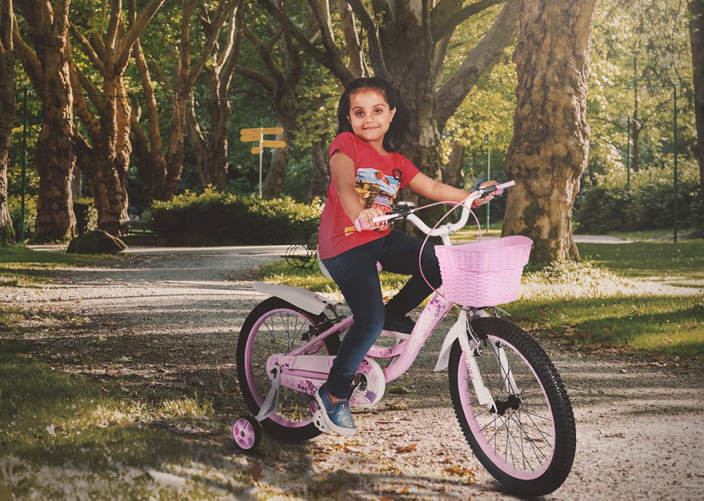 UNIROX Bike | Buy one of India's best & most affordable world-class ...